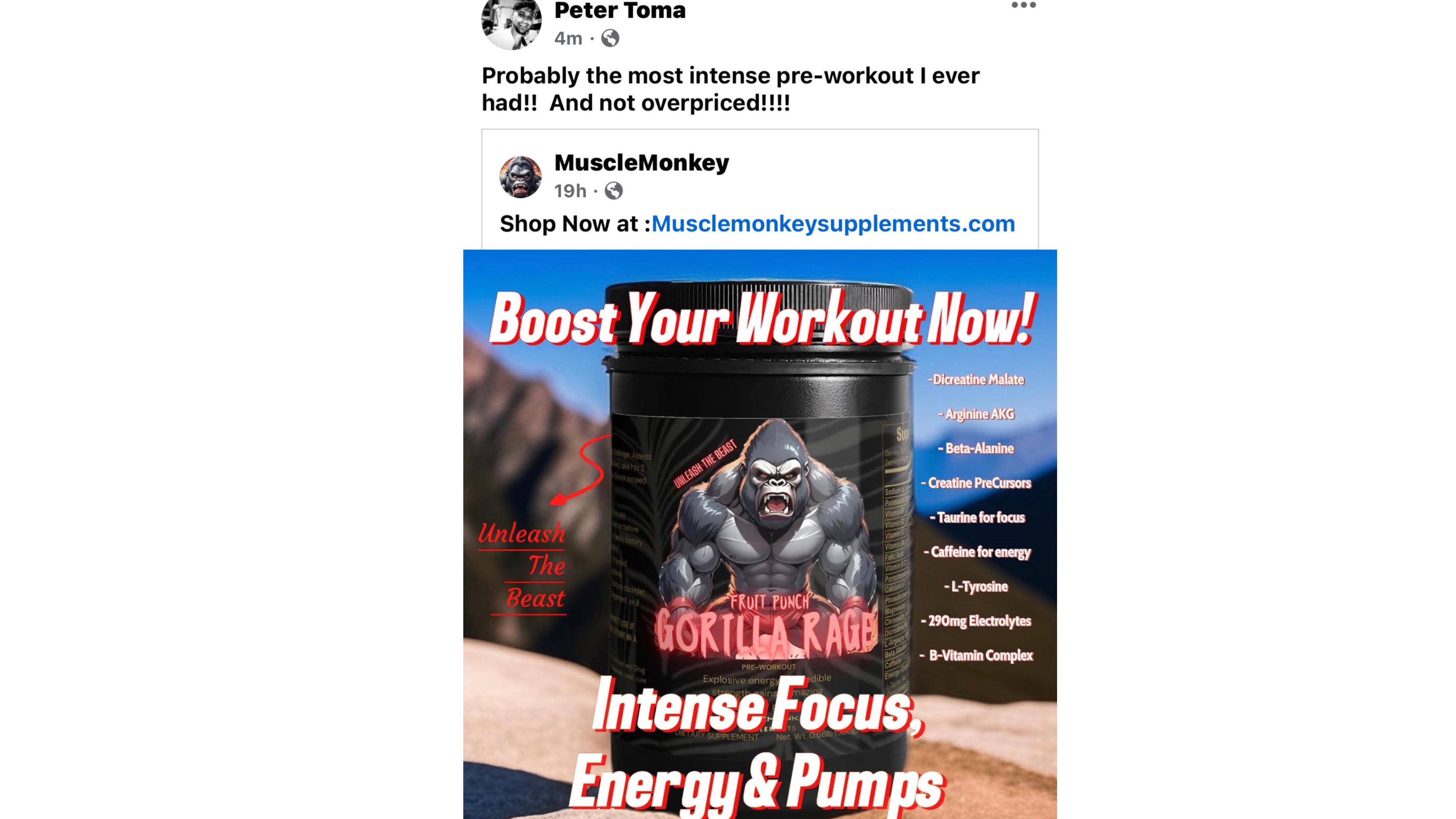 Muscle monkey supplements – MuscleMonkey supplements